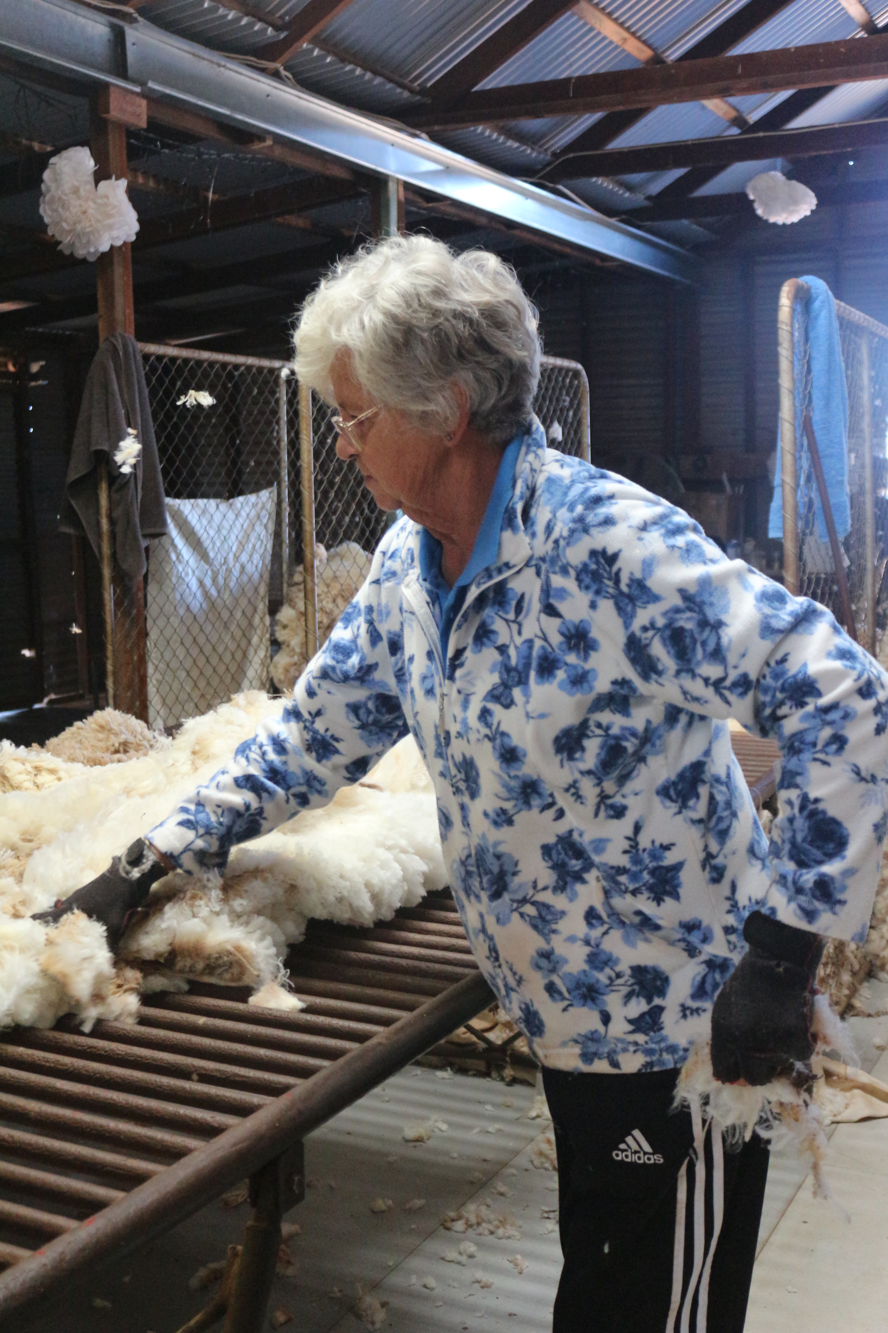 The Shearing Team | Off Grid Maori