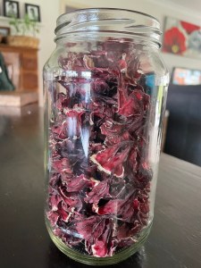 Rosella! How to plant, harvest and use them. | Off Grid Maori